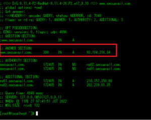 DNSキャッシュポイズニングやってみた | セキュリティ専門企業発、ネットワーク・ログ監視の技術情報 - KnowledgeStare（ナレッジステア）