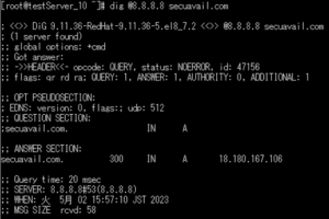 DIGを使用したDNSサーバの確認方法について | セキュリティ専門企業発、ネットワーク・ログ監視の技術情報 - KnowledgeStare（ナレッジステア）