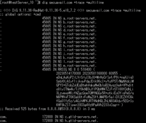 DIGを使用したDNSサーバの確認方法について | セキュリティ専門企業発、ネットワーク・ログ監視の技術情報 - KnowledgeStare ...